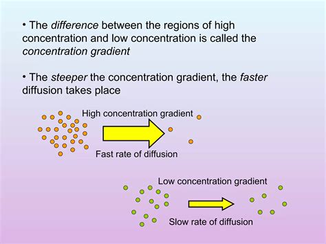Diffusion And Osmosis PPT