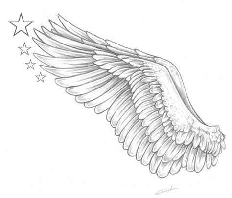 Simple Eagle Wings Drawing