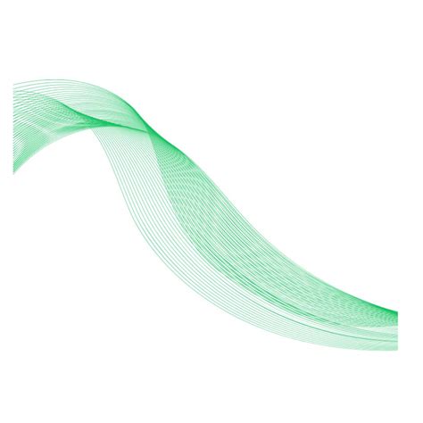 Teens Krop одяг для дітей та підлітків