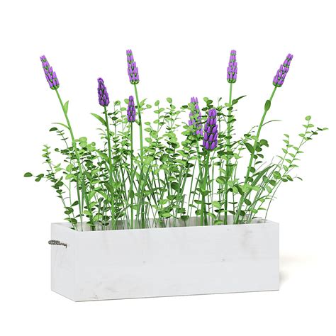 Cgaxis 3d Models Pbr Hdri For Your 3d Visualizations Projects