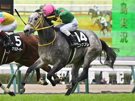 【葵s予想】未来のスプリンターが集う3歳短距離重賞 直線平坦で逃げ、先行馬が有利な舞台 競馬ニュース Netkeiba
