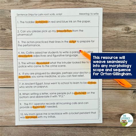 Morphology Sentences For Prefixes Suffixes Roots Greek Forms The