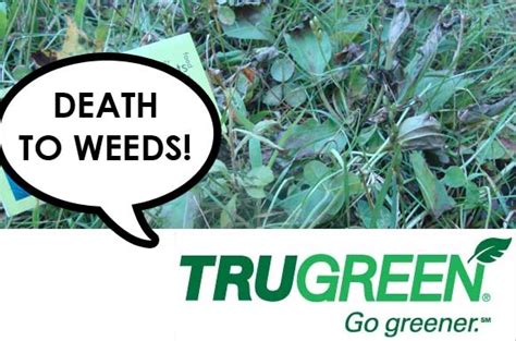 Trugreen Review