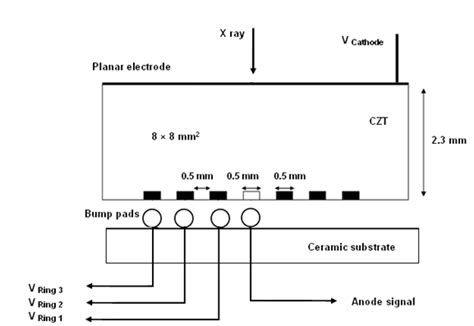 Top Schematic Diagram Of The Czt Drift Ring Detector Showing The Ring