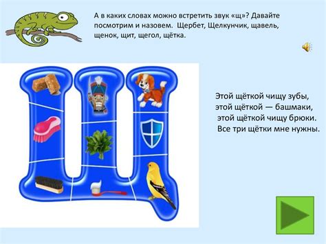 Буква Щ - презентация онлайн