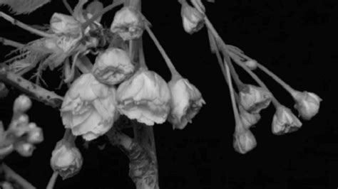 Groundwork Pilates Studio