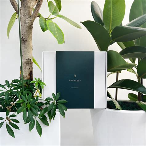 선물박스 슬리브 띠지 제작 포장박스제작친환경박스제작화장품단상자제작단상자제작디저트박스제작패키지박스제작식품패키지제작커스텀박스제작