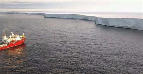 This Should End Well The Falklands Have Just Become The Most