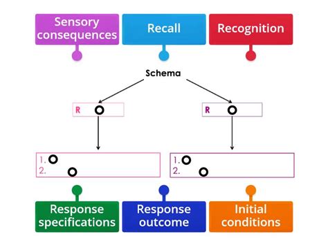 Label The Parts Of A Schema Starter Labelled Diagram