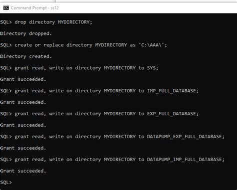 Problems Writing To Directories In Oracle 21c Windows Oracle Forums