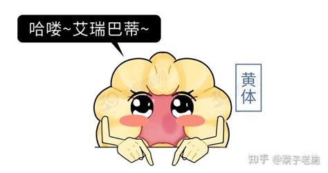 同房酿成的 血案”，黄体破裂！医生：又不是打桩，太用力干嘛！ 知乎