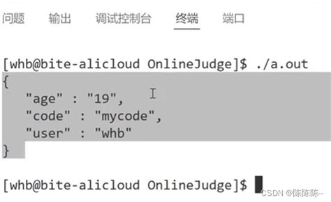 【负载均衡式在线oj】实现编译，运行，测试等功能负载均衡在线oj功能 Csdn博客