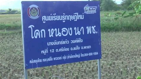 ผู้ใหญ่บ้านหญิงทำโคกหนองนาโมเดล 6 เดือนสร้างรายได้งาม ข่าวพะเยา