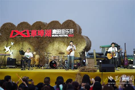 当阳草埠湖麦田音乐节奏响农旅融合新乐章 荆楚网 湖北日报网