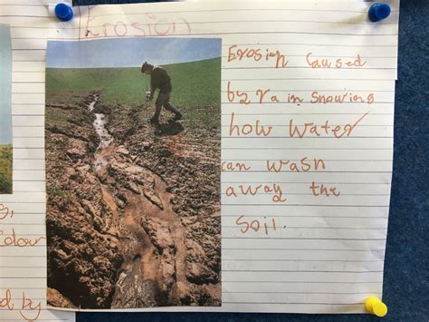 Soil Solutions TAP Blog