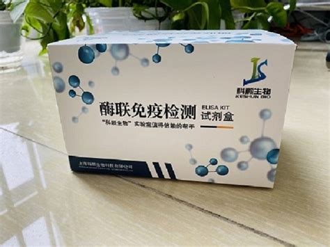 小鼠血红素氧合酶1ho 1elisa试剂盒价格品牌科顺生物进口原装 丁香通官网