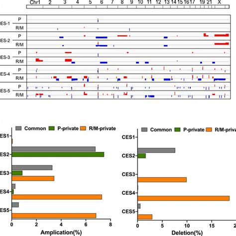 Mutation Abundance And Features Of Primary And Matched Download