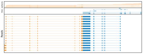The Power Of Accurate Long Read Rna Sequencing For Fusion Gene