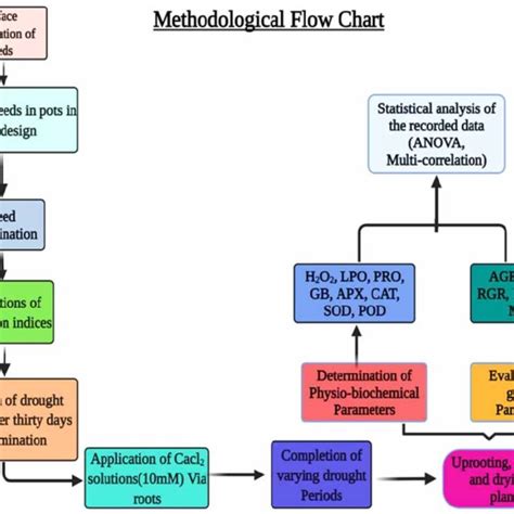 Methodological Flow Chart Of The Designed Experiment Download