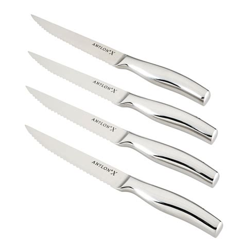 4 Piece Stainless Steel Steak Knife Set Anolon