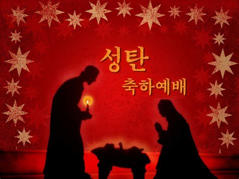 Daum 카페