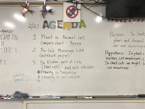 Why Class Points Is My Favorite Classroom Management Strategy How She