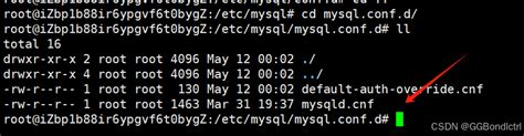 【mysql进阶】了解linux操作系统下mysql的配置文件和常用选项 腾讯云开发者社区 腾讯云