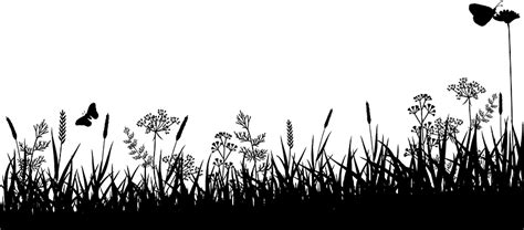 черная трава на прозрачном фоне 23 фото