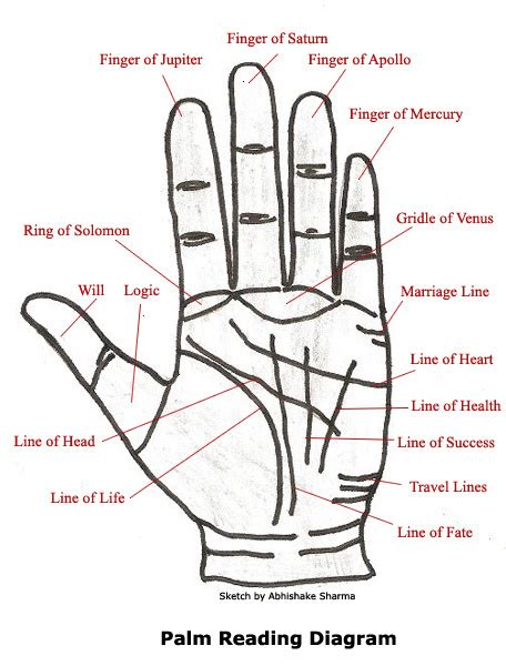 Palm Reading Diagram Dr Sarah Larsen Medical Intuitive And Energy Healer