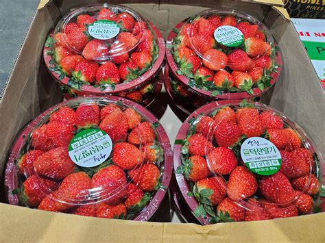 설향 다라이딸기 1kg 배민스토어