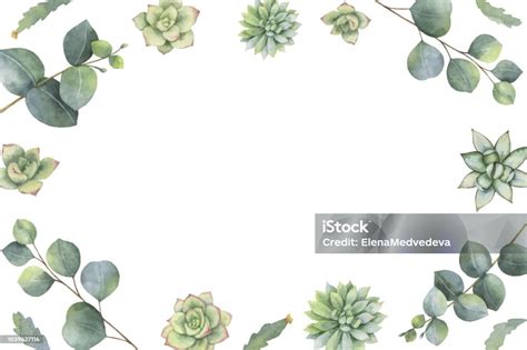 유칼립투스 잎 및 Succulents 수채화 벡터 배너입니다 기념일에 대한 스톡 벡터 아트 및 기타 이미지 기념일 수채화