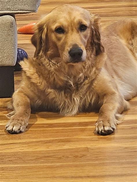 Bobby Poirier On Linkedin Oraclebenefits Onestream Cloudmigration Nyc