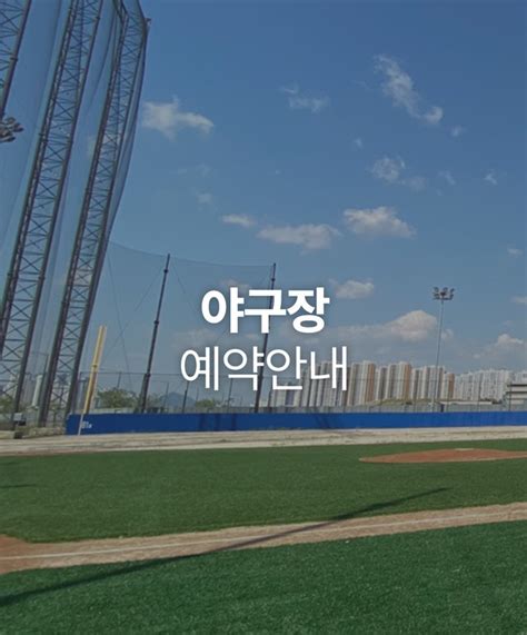 서울대학교 시흥캠퍼스 스포츠파크