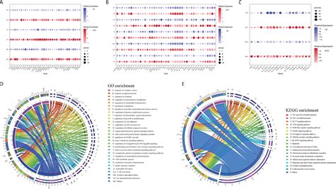 Frontiers Single Cell Profiling Reveals Transcriptional Signatures