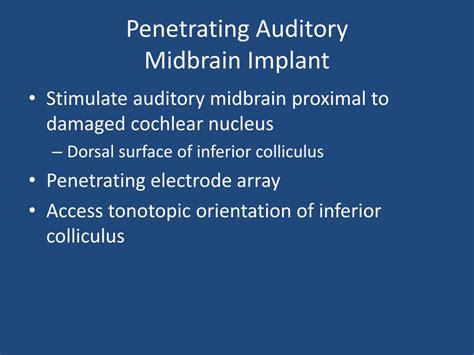 Ppt Central Neural Auditory Prosthesis Powerpoint Presentation Free