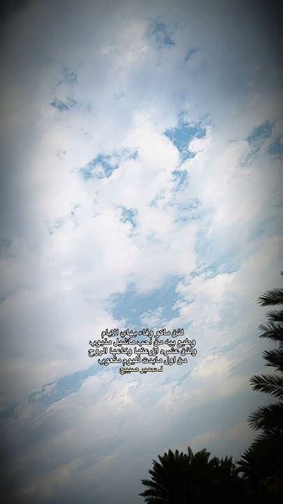 الشعبالصينيمالهحل اكسبلور لايك سميرصبيح ماكو وفاء بعلي الايام😔🙂 Youtube