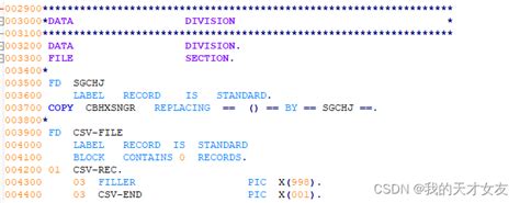 Cobol语言简介 Csdn博客