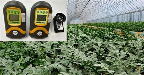 과일 손상 없이 척척”농가에 휴대용 당도측정기 대여