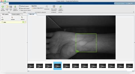 Image Labeling Process Download Scientific Diagram