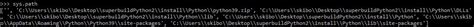 Superbuild With Custom Python Version Crashes After Running Script