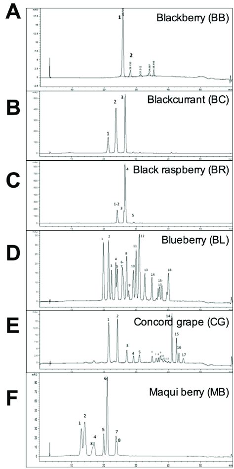 Hplc Analysis Of Anthocyanins From Whole Freeze Dried Berries Including