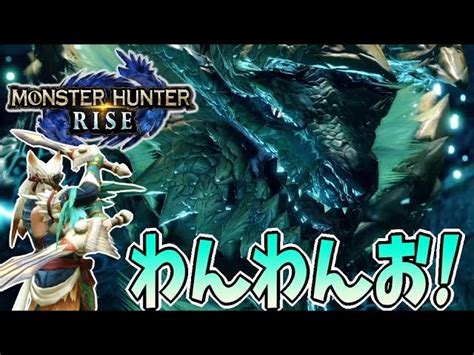 【mhrise】電光爪牙！雷狼竜 ジンオウガ【双剣／モンハンライズ】 モンハンライズ 攻略動画まとめ【初心者必見】