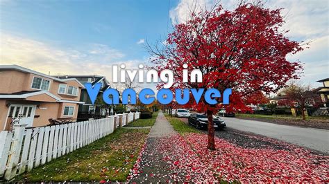 Vlog 🇨🇦밴쿠버 코업 브이로그 레인쿠버에서 집밥 만들기🍚 Youtube