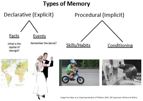Phych Test 5 Flashcards Quizlet