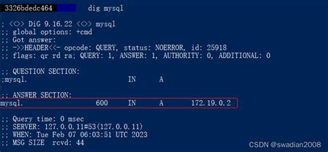 docker 快速上手学习入门教程 docker菜鸟教程 csdn博客
