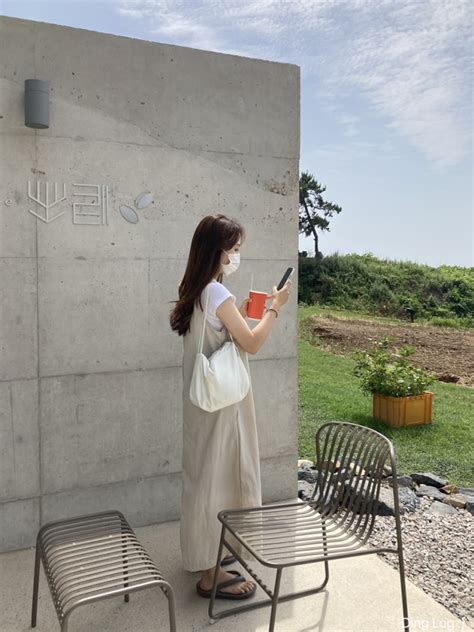 영광 백수해안도로 카페 Farm Voree 카페보리 네이버 블로그