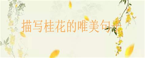 描写秋天桂花的唯美句子大盘点赞美桂花的诗句你知道几句