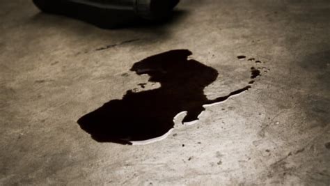 How Much Does It Cost To Replace An Oil Pan