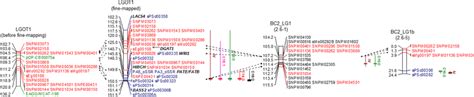 Fine Mapping Of Qtl Intervals With Candidate Markers And Download