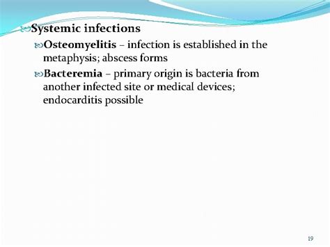 Staphylococci Introduction Staphylococci Are Grampositive Spherical Bacteria Arranged